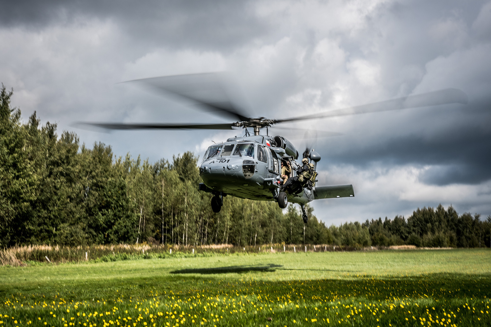Offer \ S-70 Black Hawk \ Technical data \ PZL Mielec